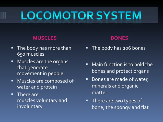 Locomotor System | PPT | Death, Injury, or Military Conflict ...