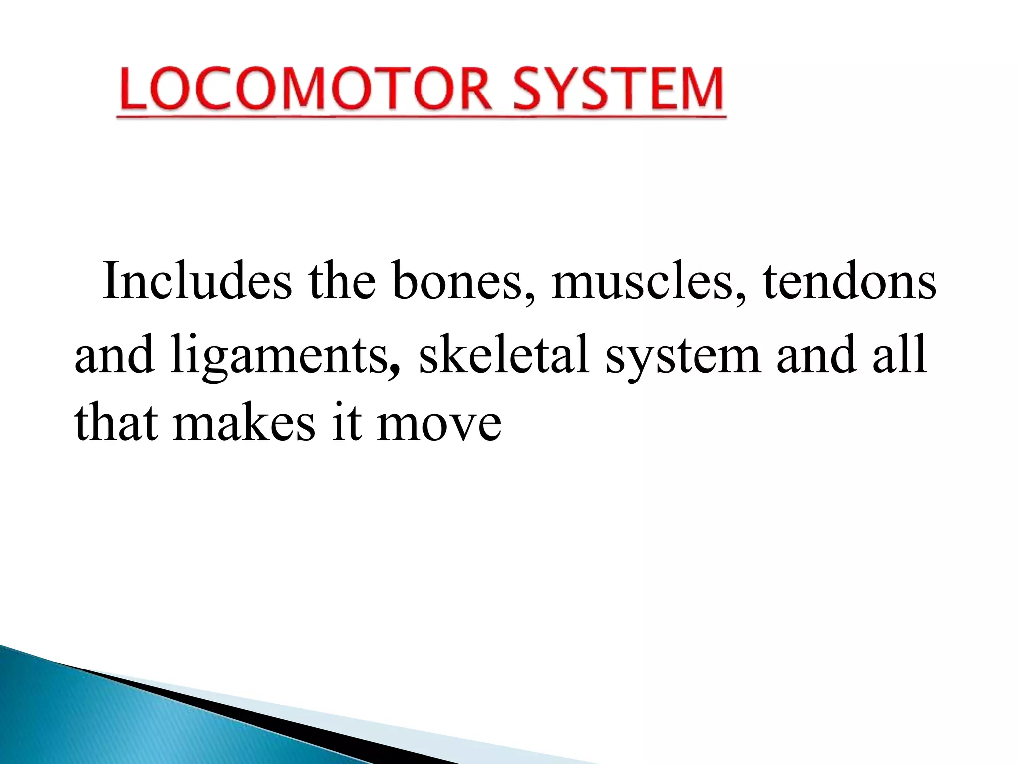 Locomotor system - Videos and Explanation | PPTX