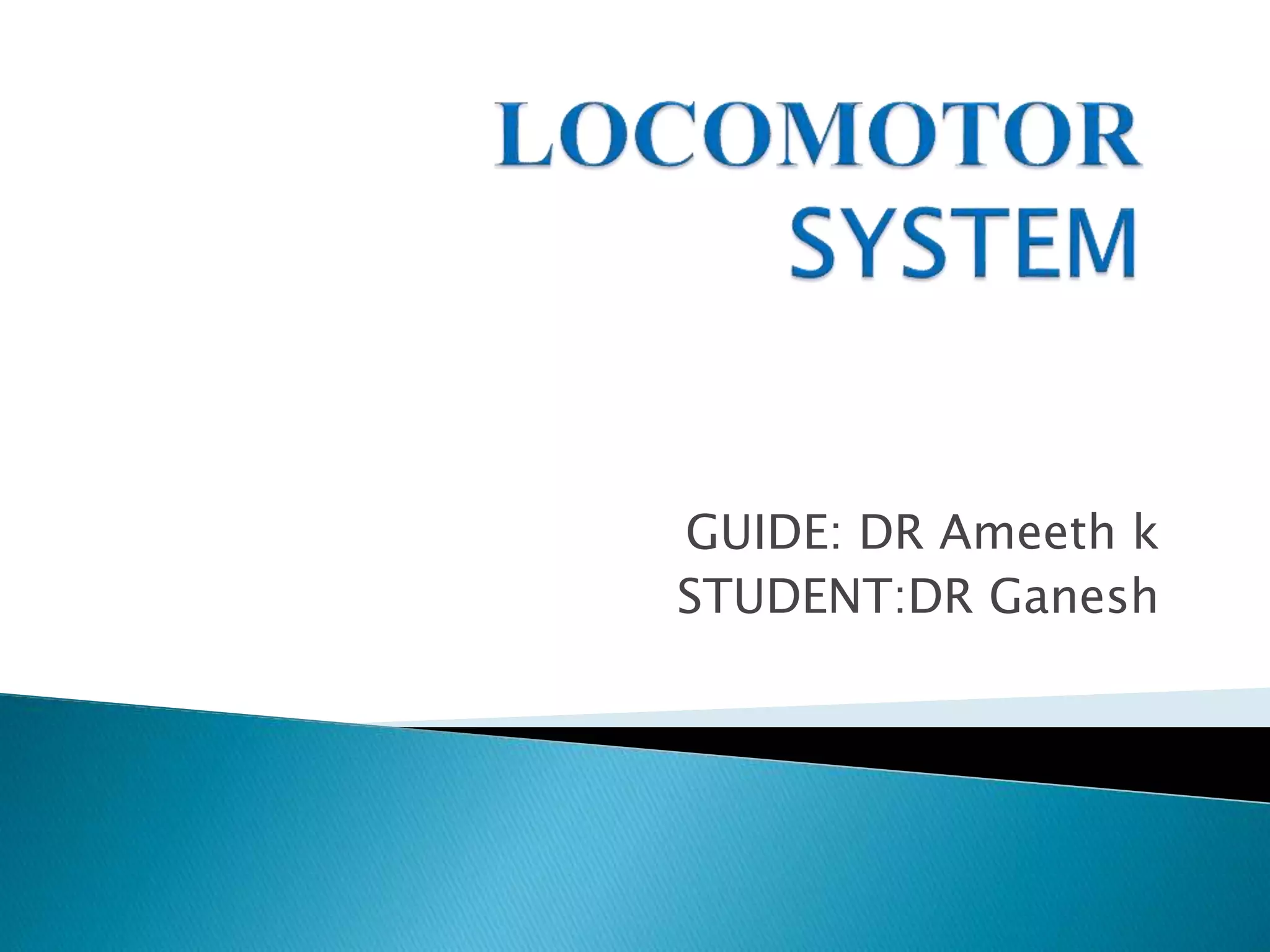 Locomotor system - Videos and Explanation | PPT