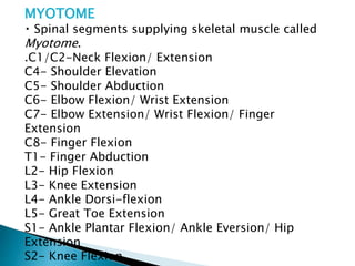 Locomotor system - Videos and Explanation | PPTX