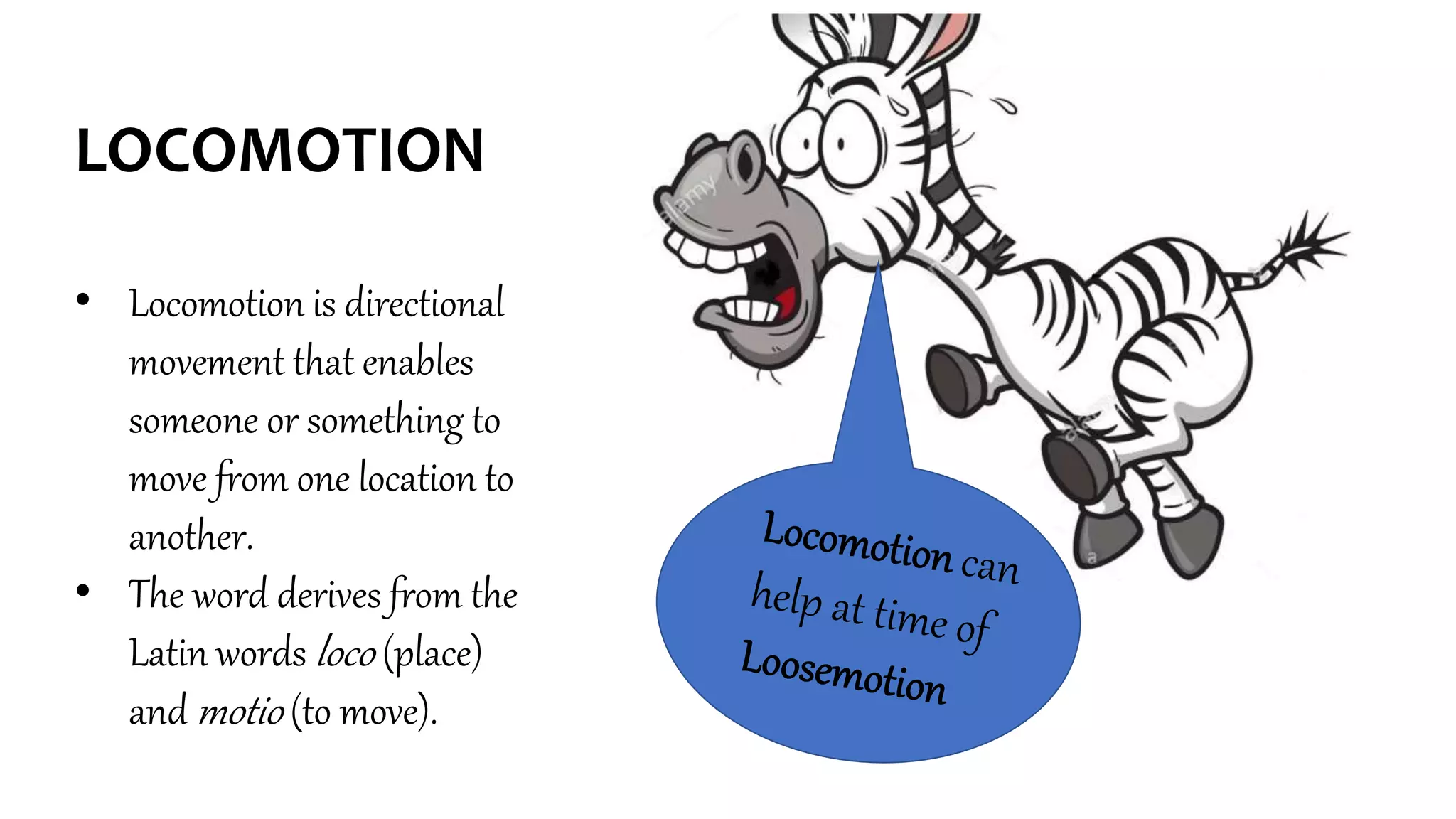 Locomotry organelle & locomotion in protozoa | PPTX