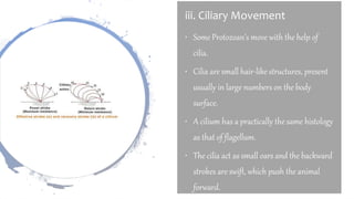 Locomotry organelle & locomotion in protozoa | PPTX