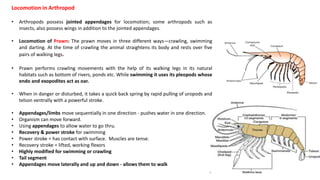 Locomotry organ in non chordata.pptx