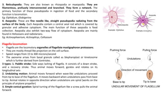 Locomotry organ in non chordata.pptx
