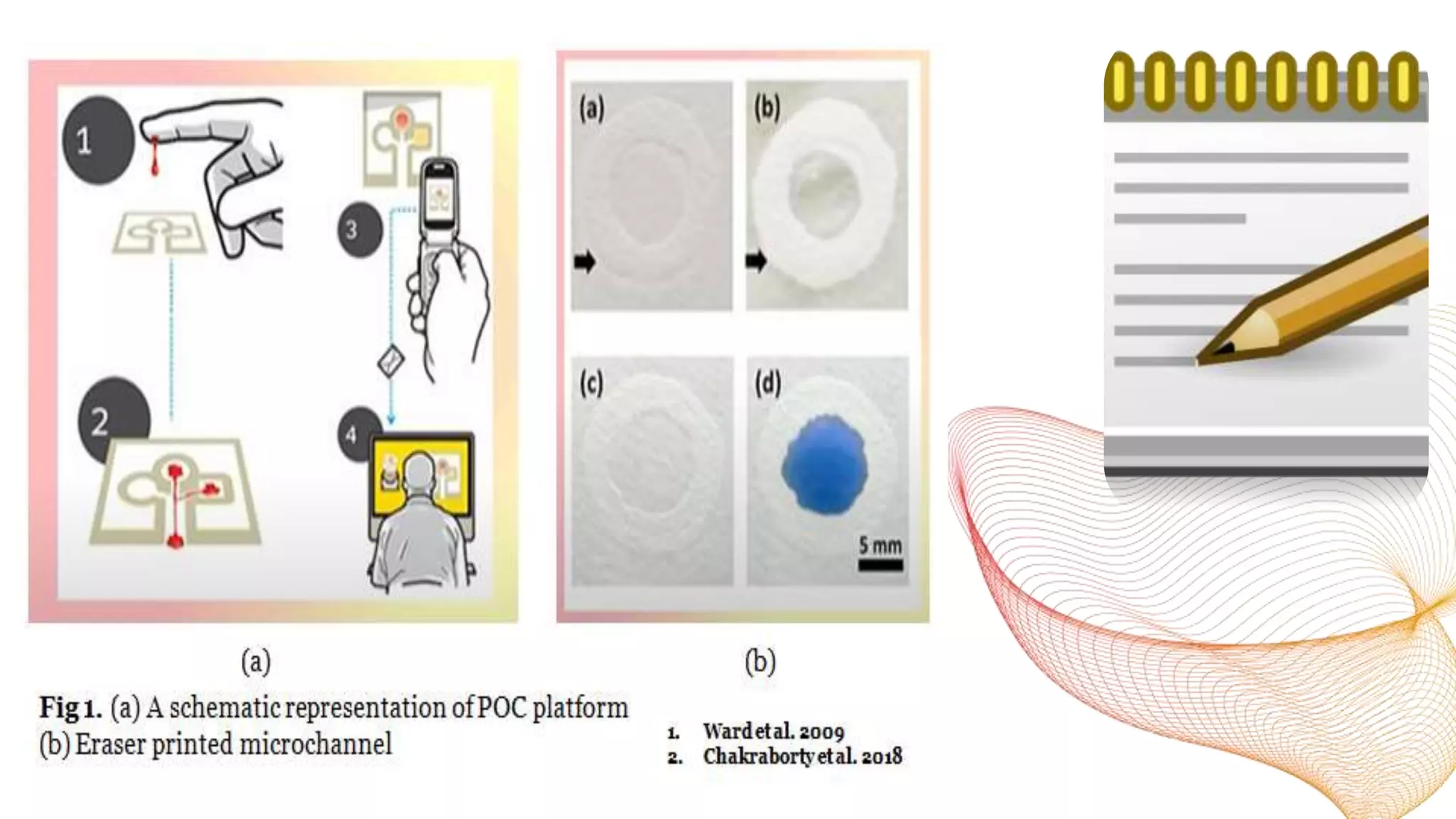 LOC presentation.pptx