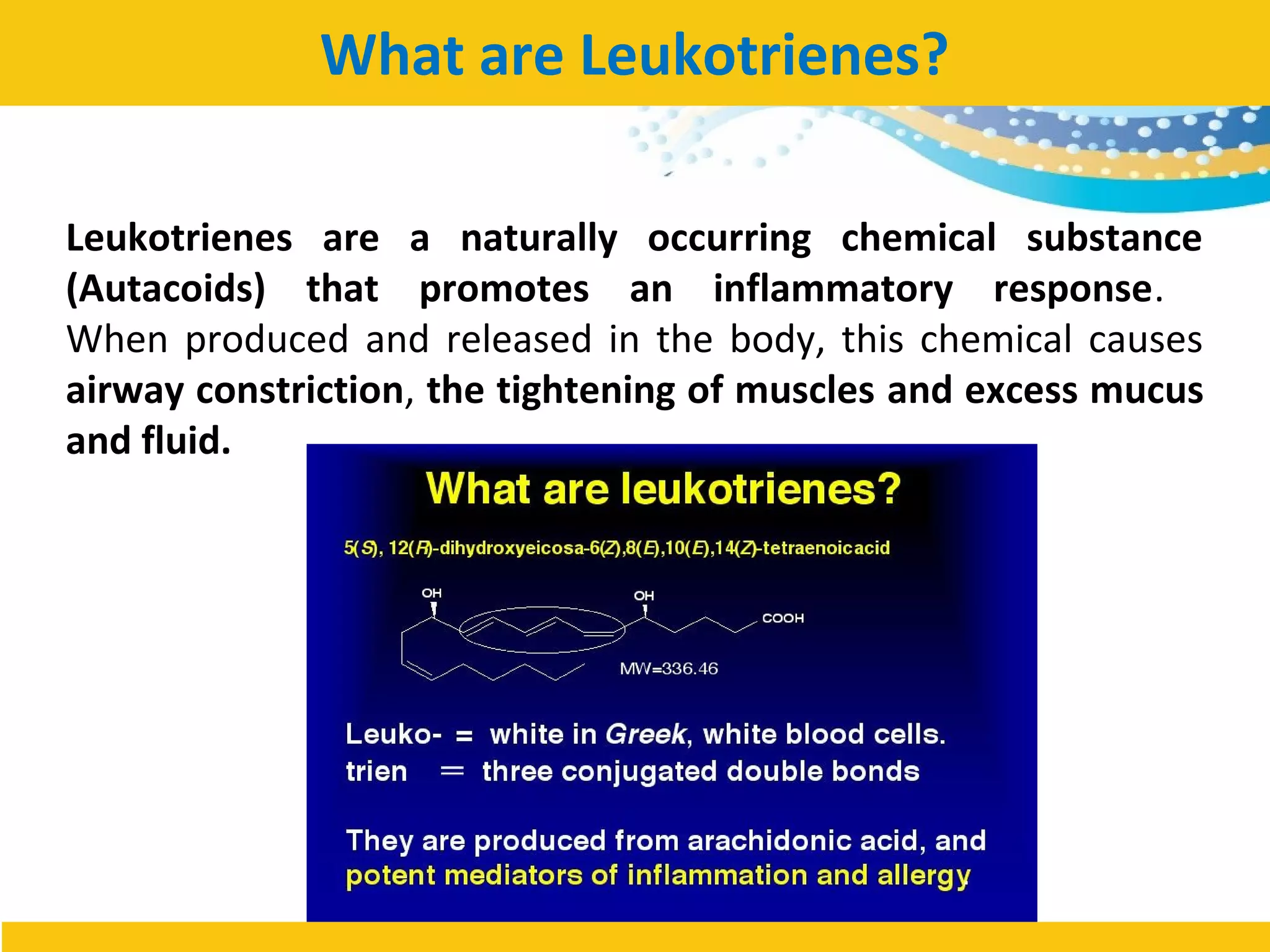 Loctril (Montelukast) | PPT