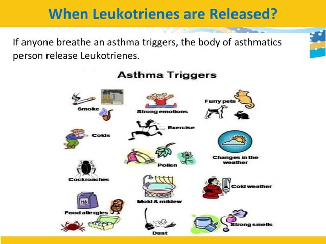 Loctril (Montelukast) | PPT