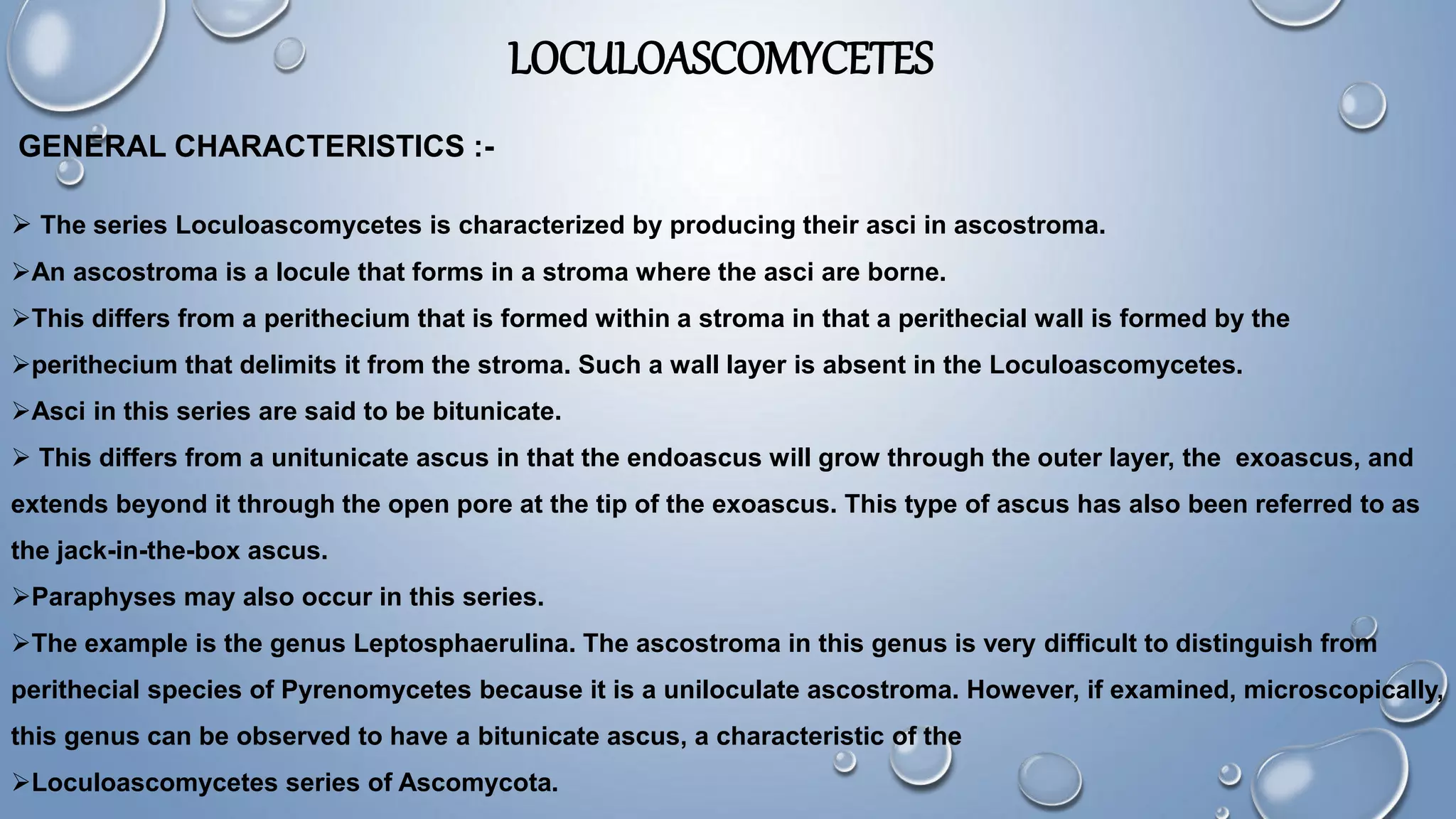 Loculoascomycetes^.^.pptx