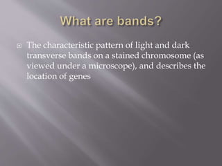 Locus (Human Genetics).pptx