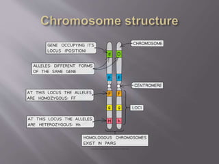 Locus (Human Genetics).pptx