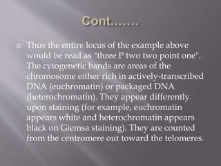 Locus (Human Genetics).pptx