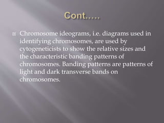 Locus (Human Genetics).pptx