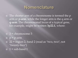 Locus (Human Genetics).pptx