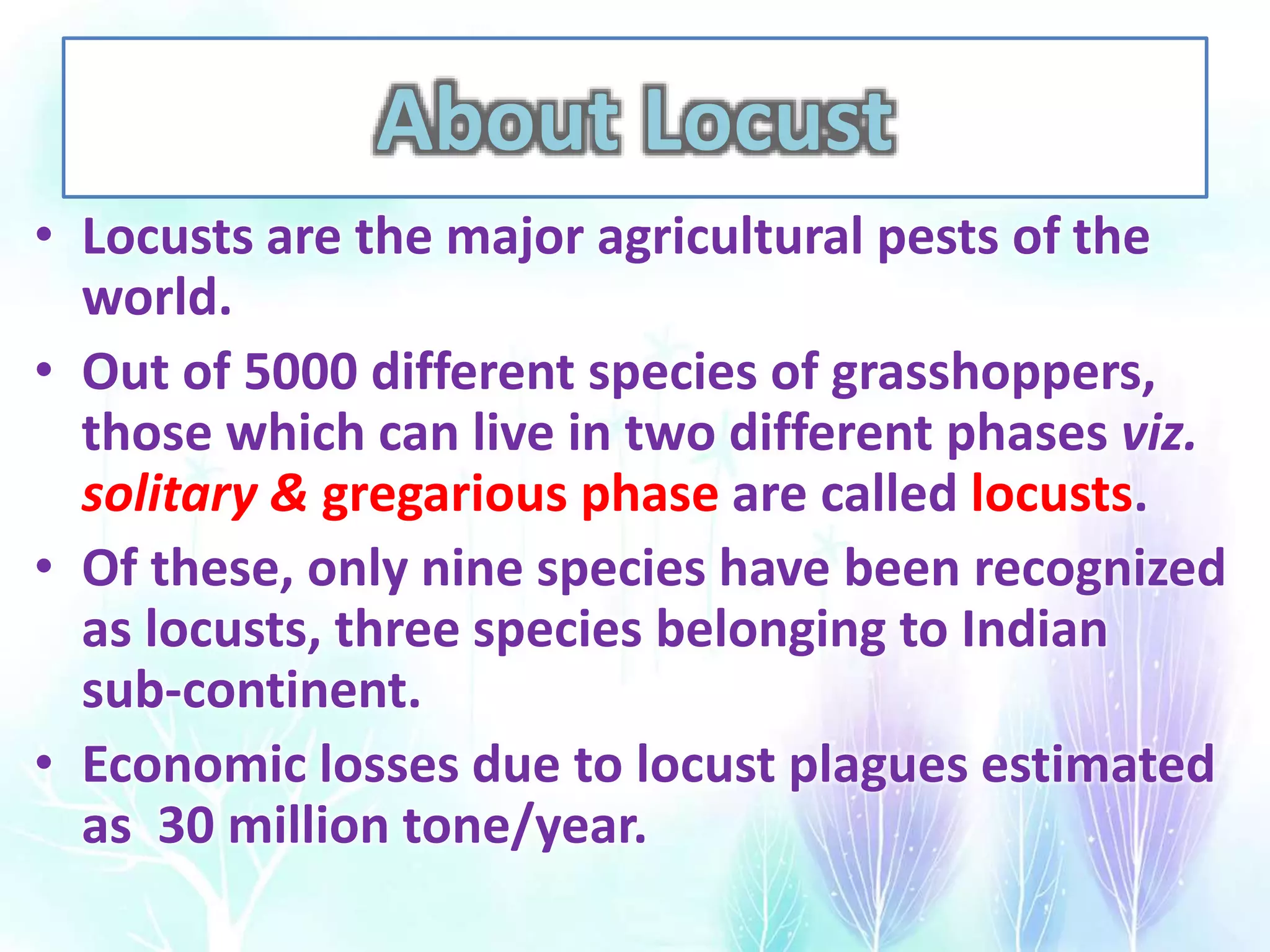 Polyphagous pest - Locust | PPTX