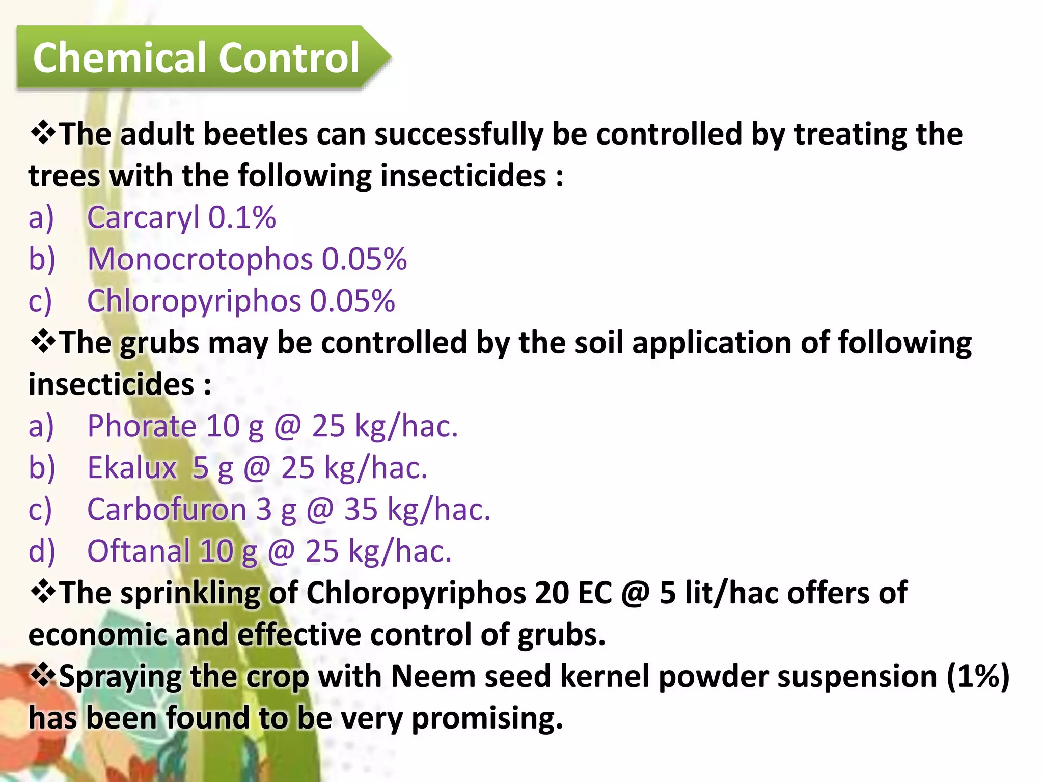 Polyphagous pest - Locust | PPTX