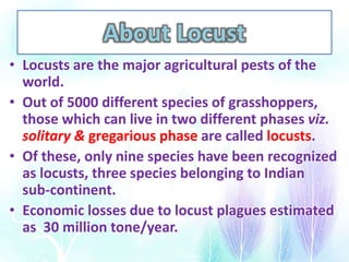 Polyphagous pest - Locust | PPTX