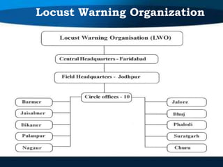 Polyphagous pest - Locust | PPTX