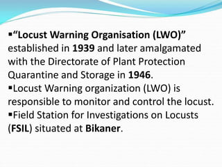 Polyphagous pest - Locust | PPTX