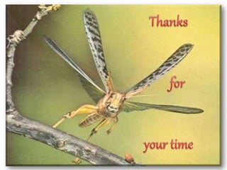 Polyphagous pest - Locust | PPTX