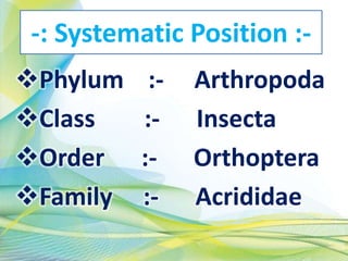 Polyphagous pest - Locust | PPTX