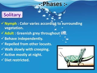 Polyphagous pest - Locust | PPTX