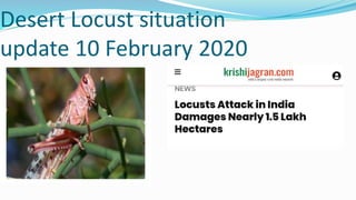 desert Locust warning 2020 #entomology | PPTX