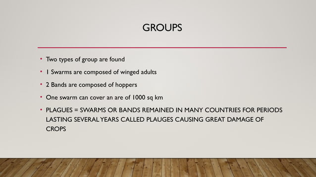 the polyphagous insect locust and their management | PPT