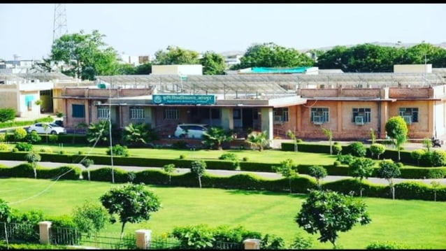 the polyphagous insect locust and their management | PPT