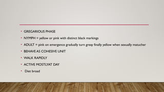 the polyphagous insect locust and their management | PPT