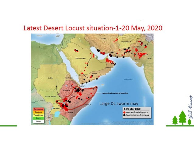 Locust Plague | PPT