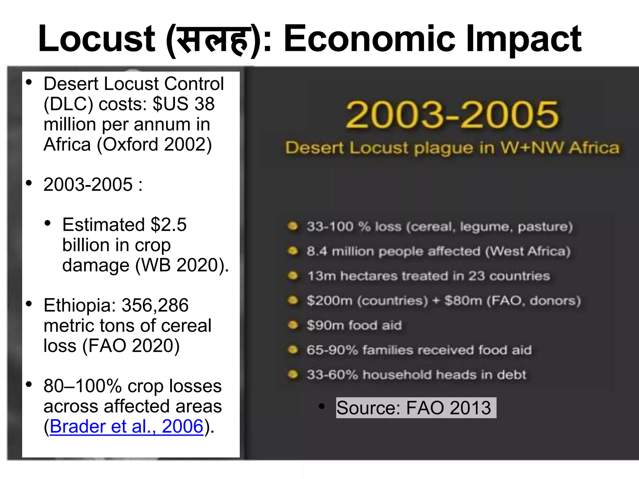 Desert Locust: an opportunity for animal feed | PPTX