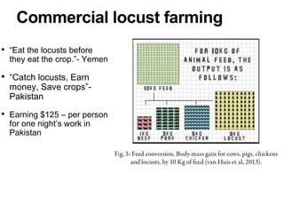 Desert Locust: an opportunity for animal feed | PPTX