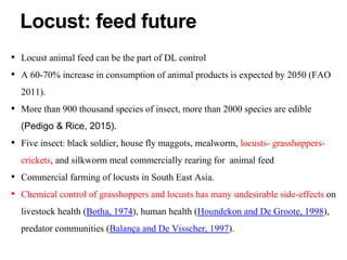 Desert Locust: an opportunity for animal feed | PPTX