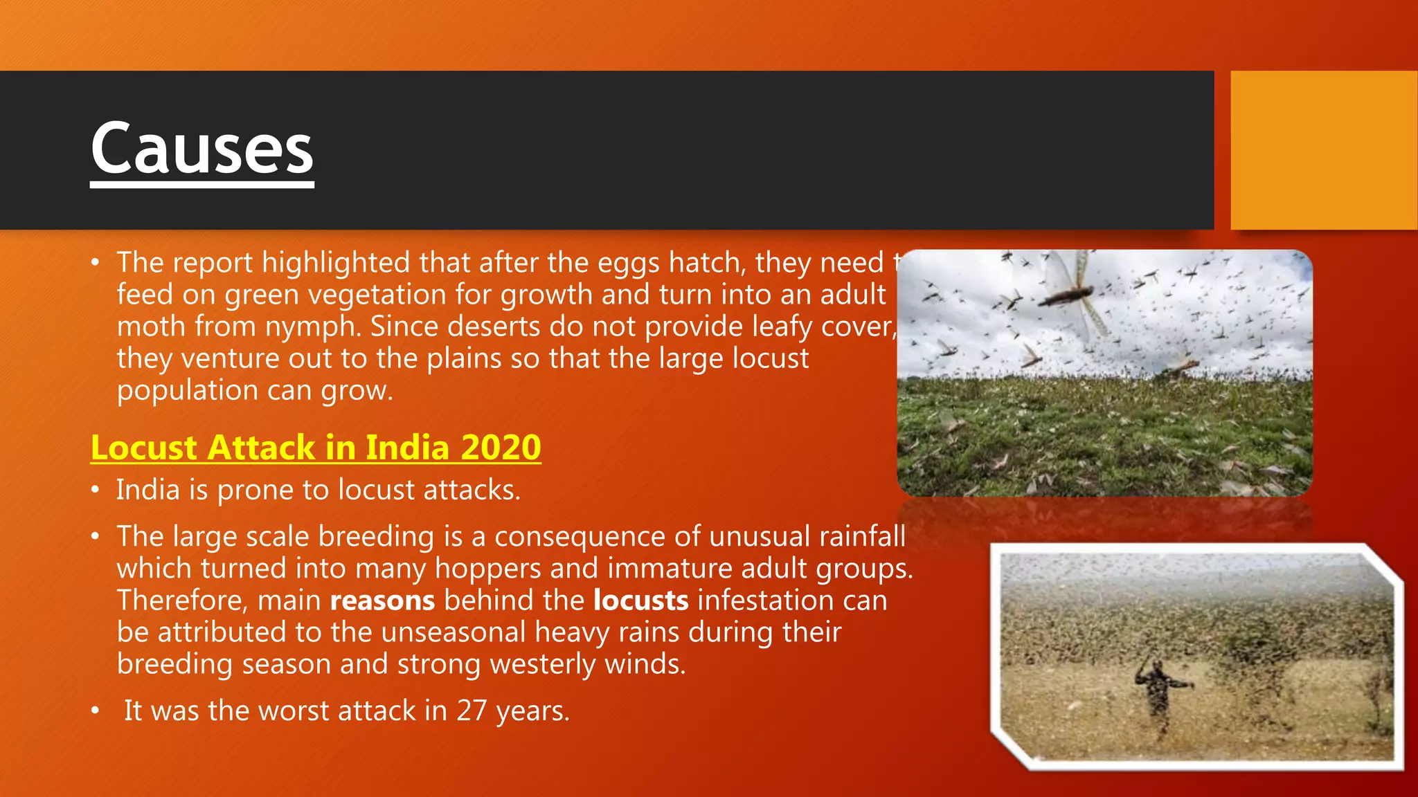 Locust attack | PPTX