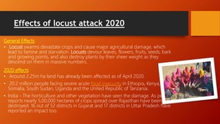 Locust attack | PPTX