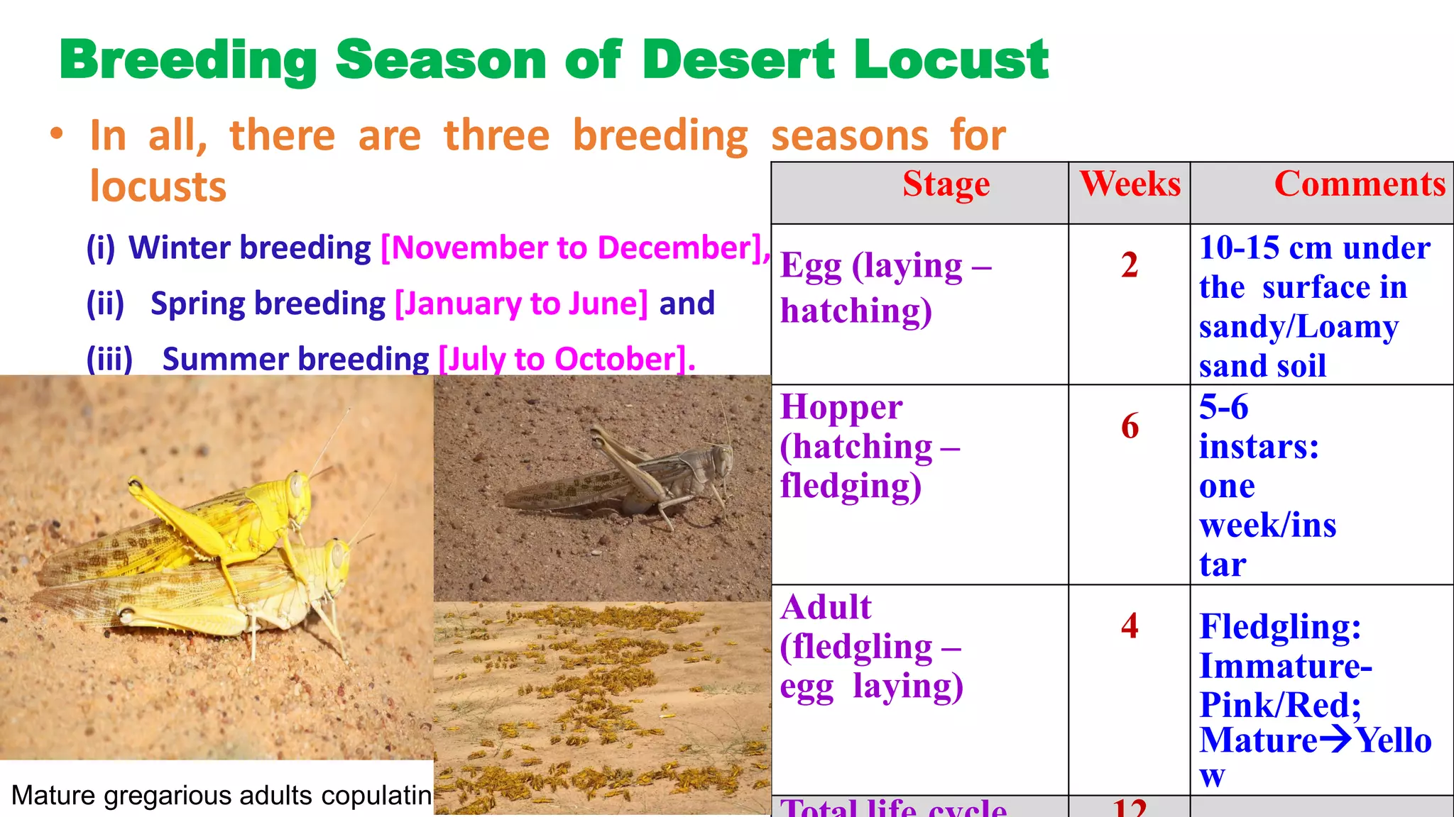 Locust attack -A threat to agriculture | PDF