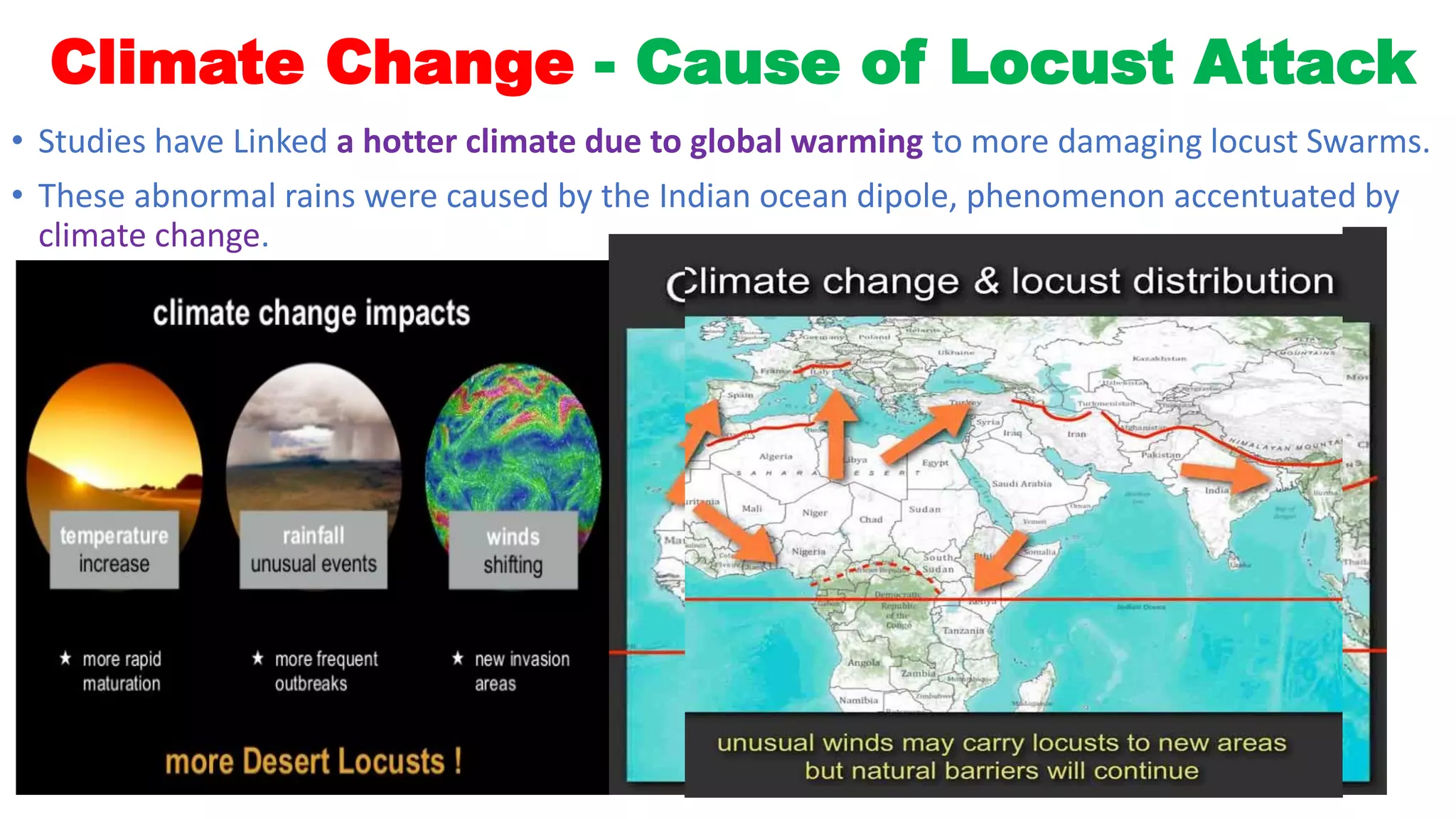 Locust attack -A threat to agriculture | PDF