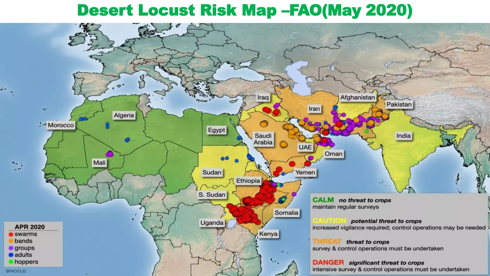 Locust attack -A threat to agriculture | PDF