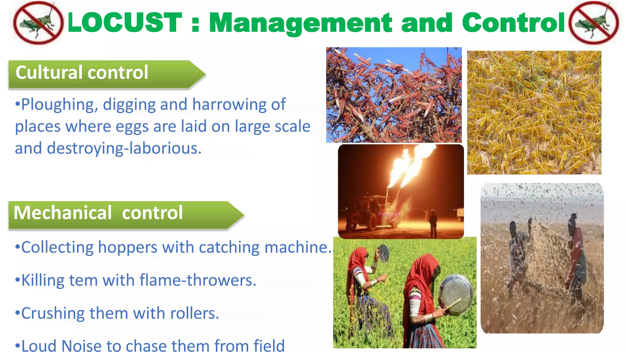 Locust attack -A threat to agriculture | PDF