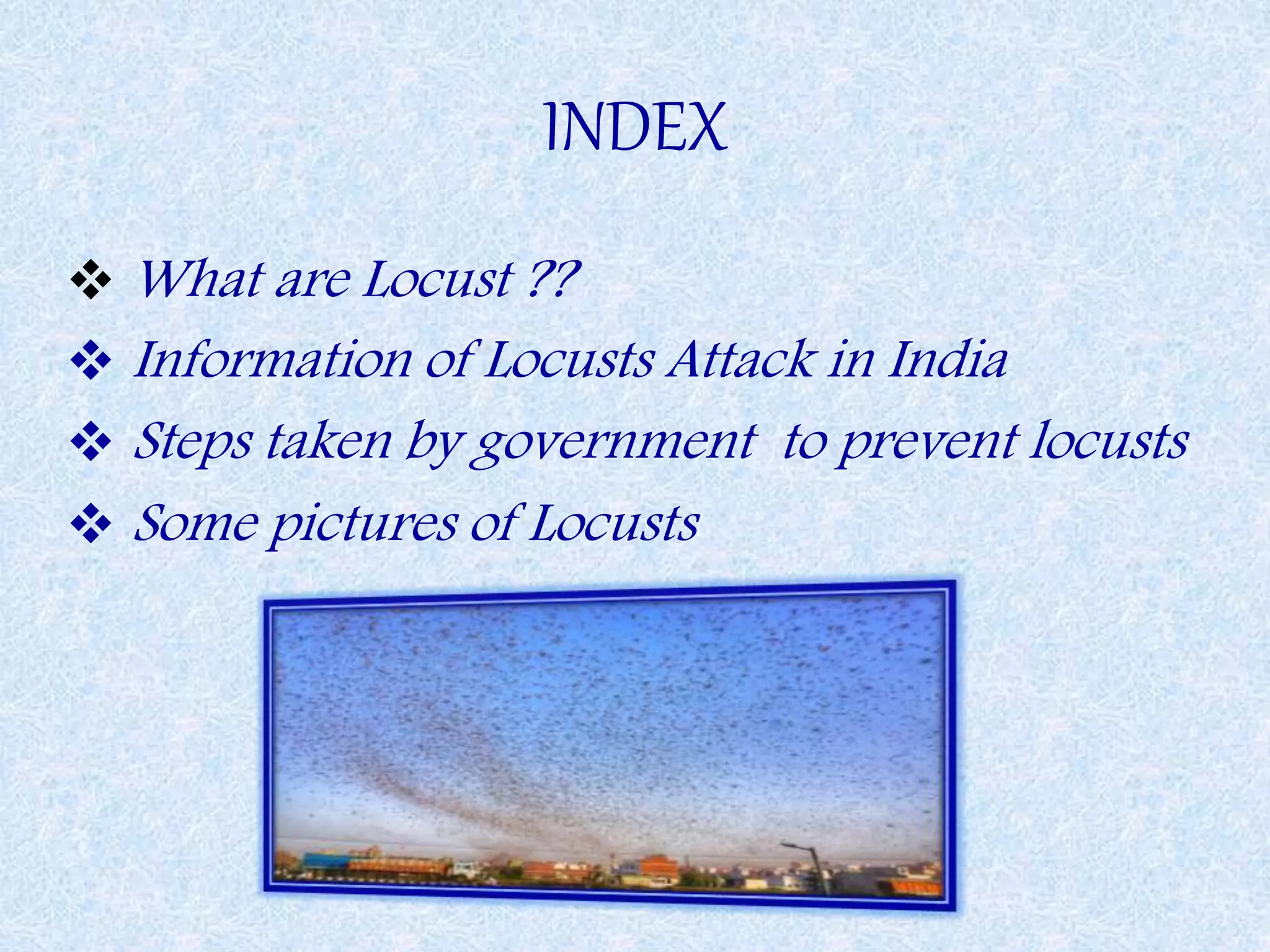 Locust attack in india | PPTX