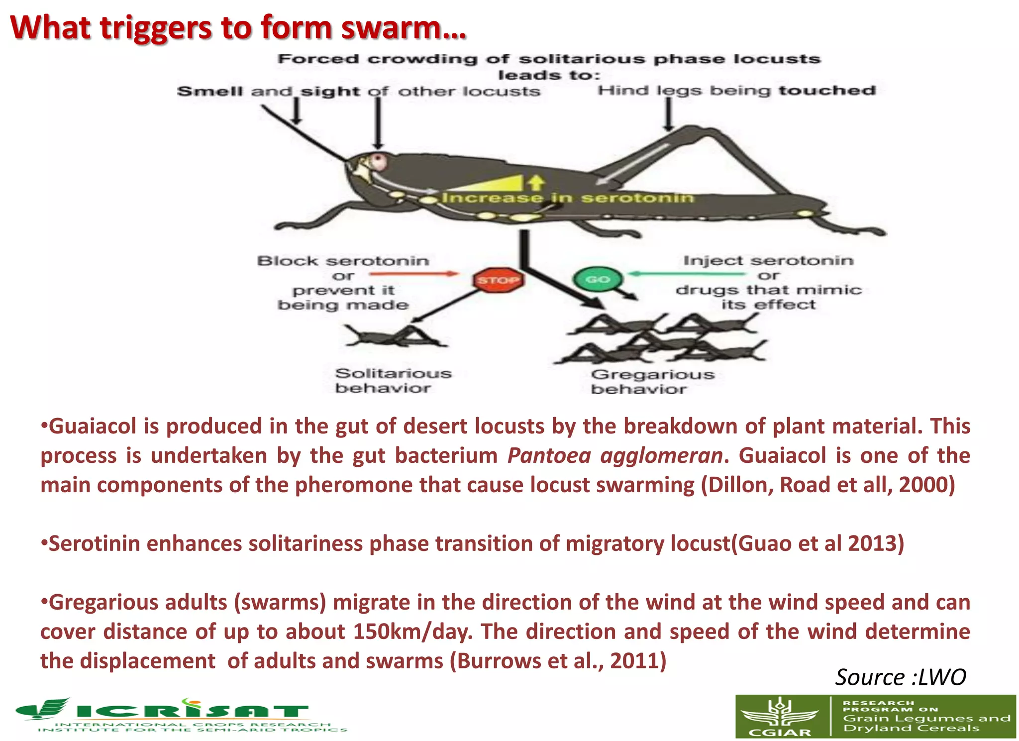 Locust current status | PDF