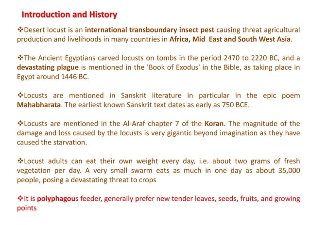 Locust current status | PDF