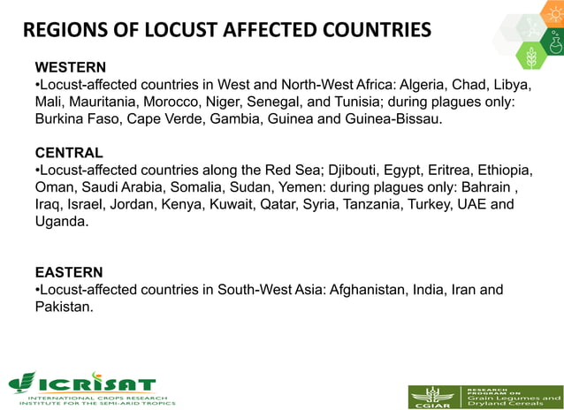 Locust current status | PDF
