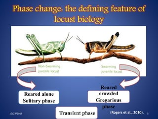 Locust migration j | PPTX