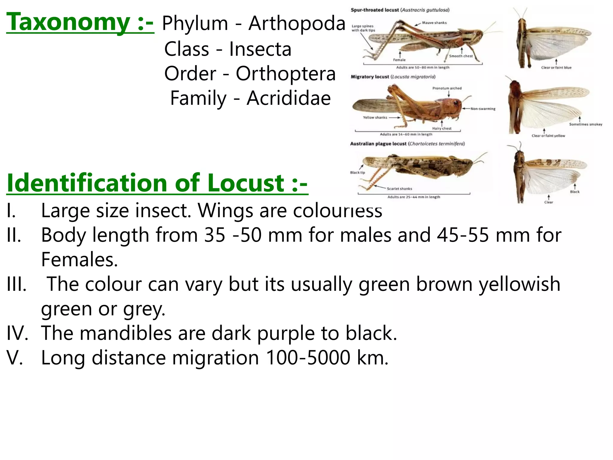 LOCUSTS MIGRATION AND SWARMING-WPS Office (2).pdf
