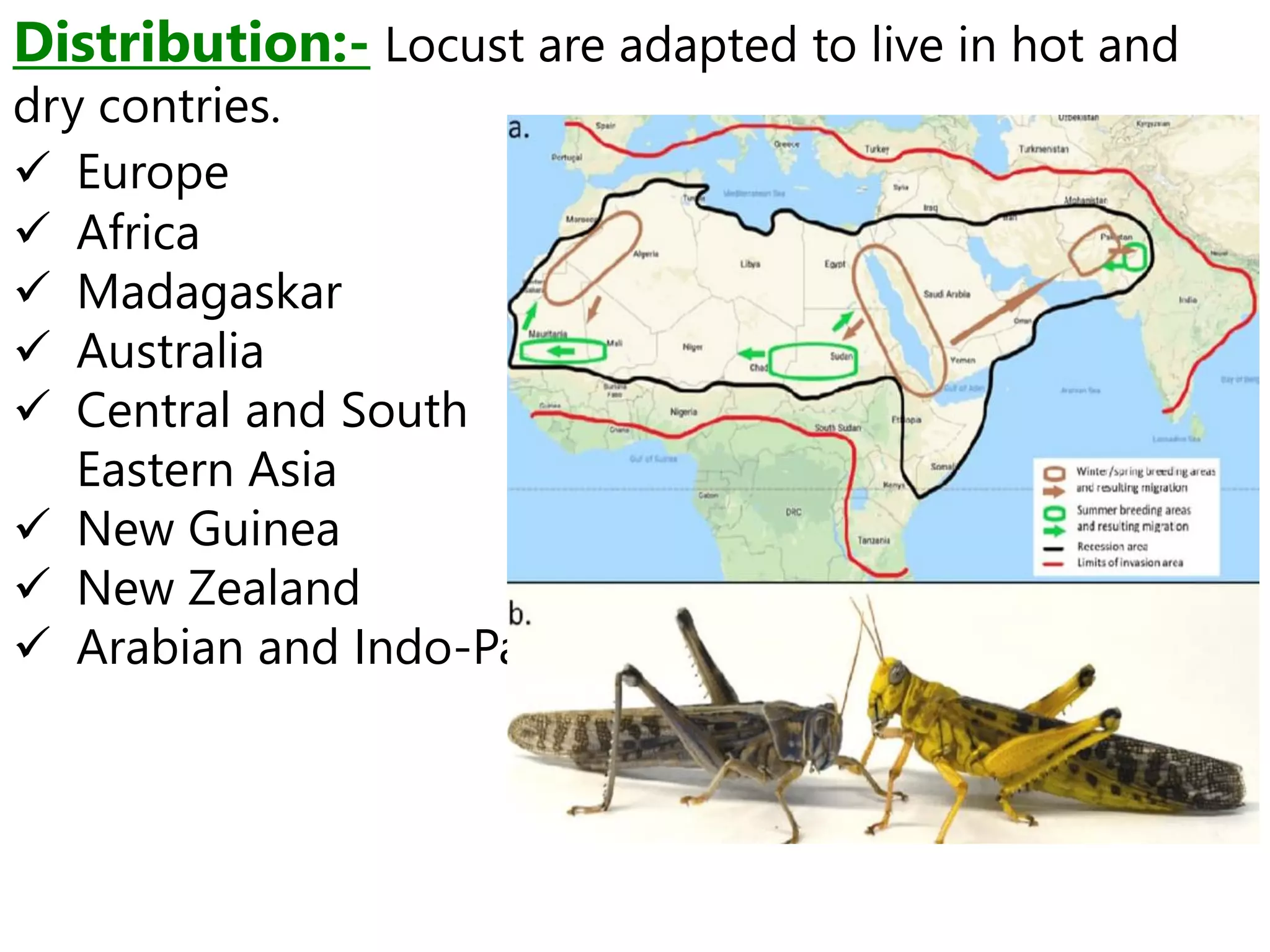 LOCUSTS MIGRATION AND SWARMING-WPS Office (2).pdf