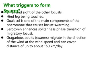 LOCUSTS MIGRATION AND SWARMING-WPS Office (2).pdf