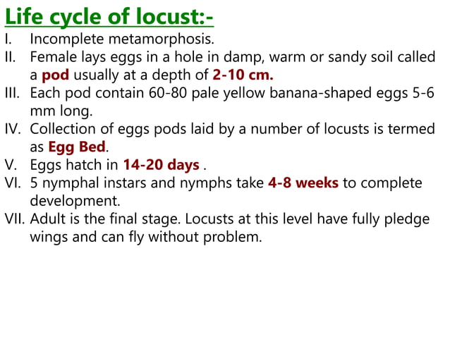 LOCUSTS MIGRATION AND SWARMING-WPS Office (2).pdf | Biological Sciences | Science