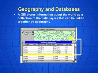 Lodha govardhan | PPT