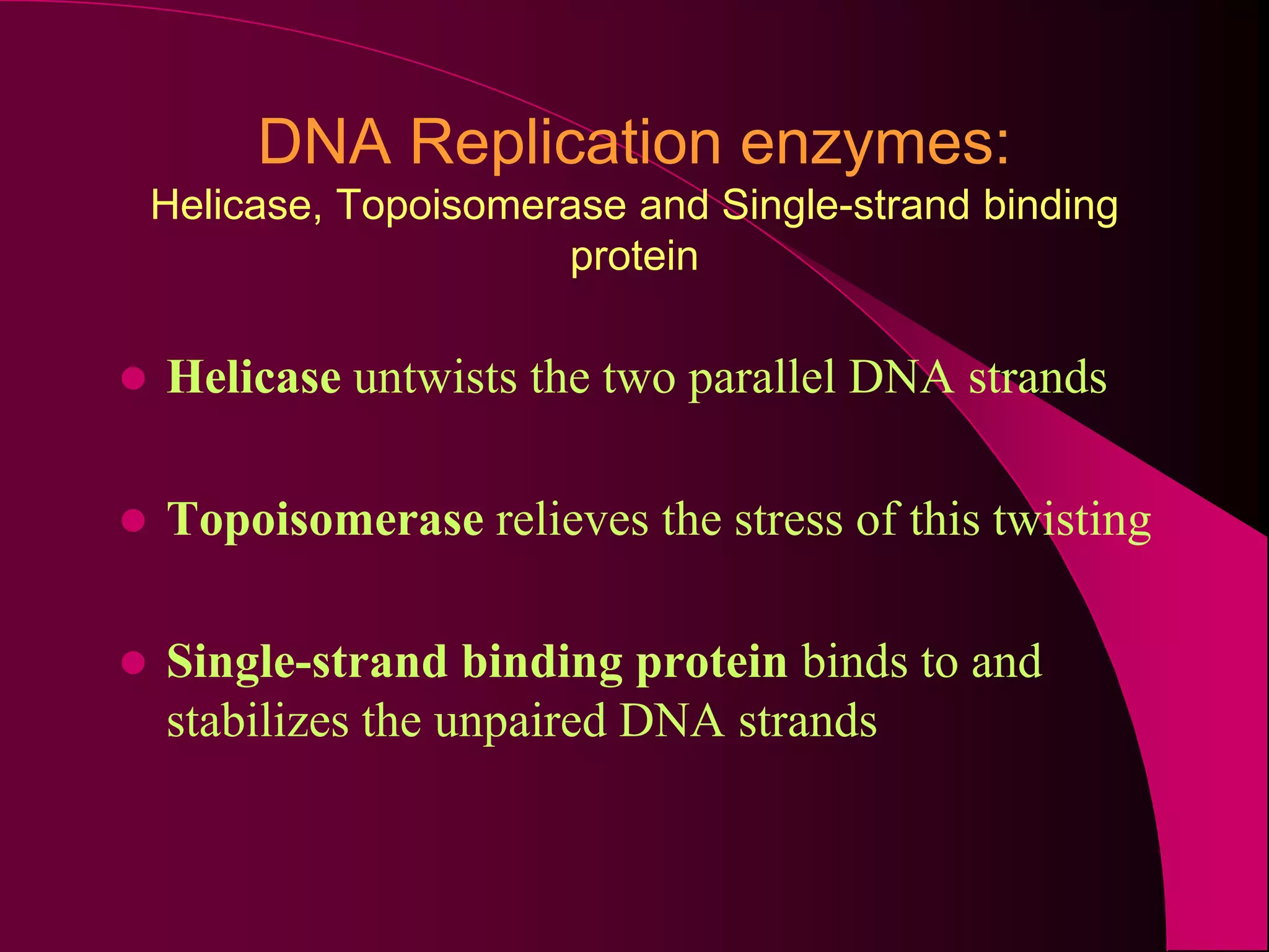 Polymerase Chain Reaction Pcr Ppt